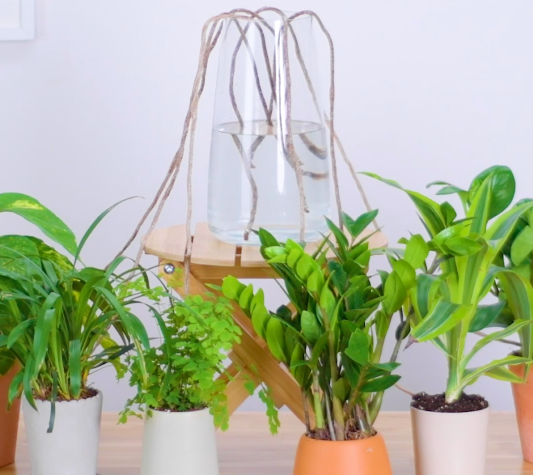 Surprising Plant Hacks That Will Turn You Into Mother Nature