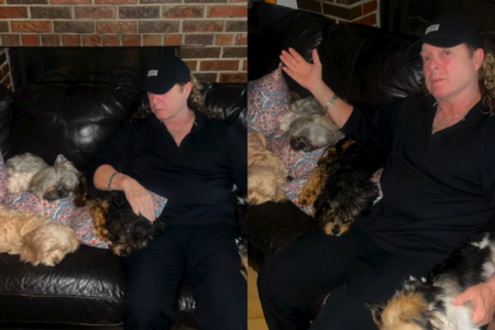 Catching Up with the Biggest Fitness Stars of the '80s: Where Are They ...