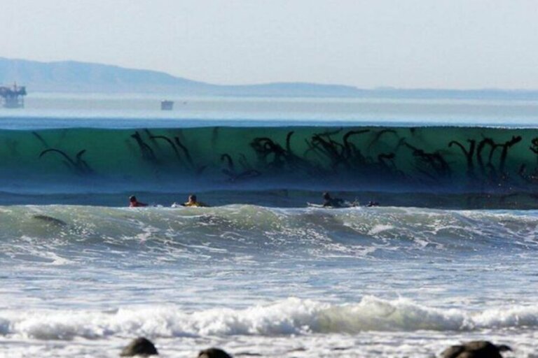 Photos That Will Trigger Your Fear of Deep Waters