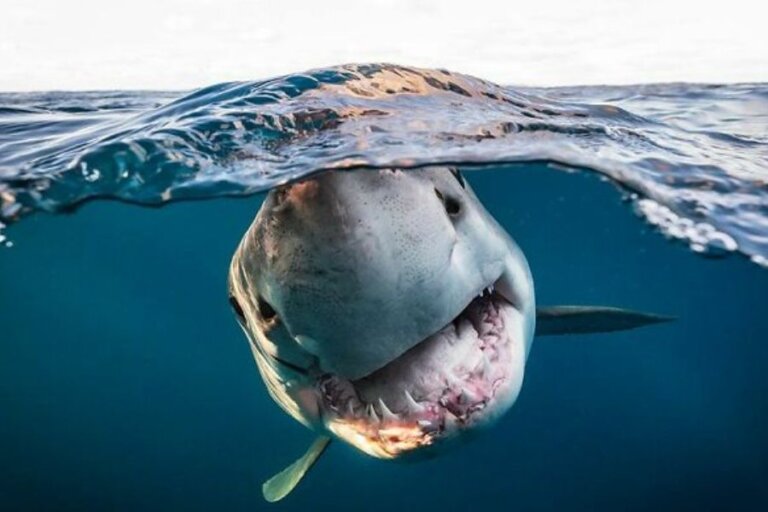 Photos That Will Trigger Your Fear of Deep Waters