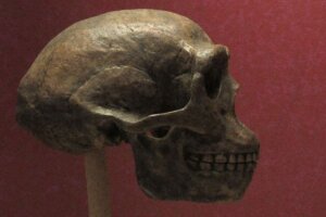 Fascinating Real-Life Treasure Hunts That Are Still Happening