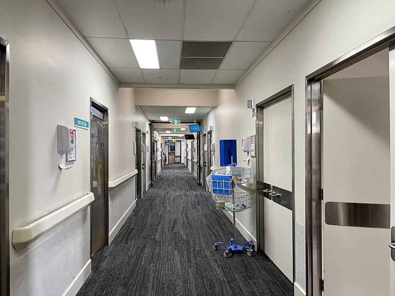 World’s First Septuplets Are Turning 27: This is How They Grew Up