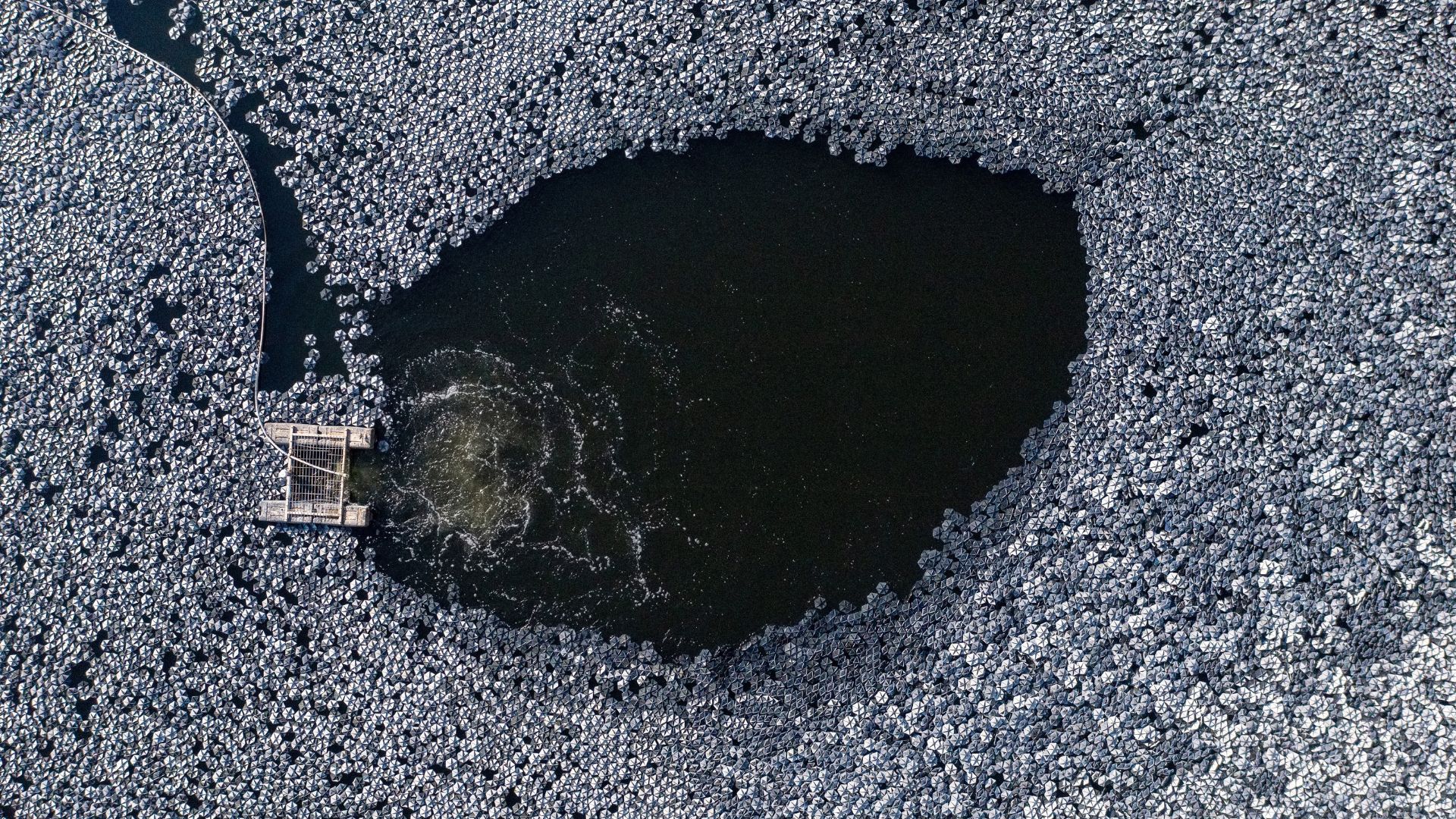 The Real Reason 96 Million Black Balls Were Released Into the L.A ...