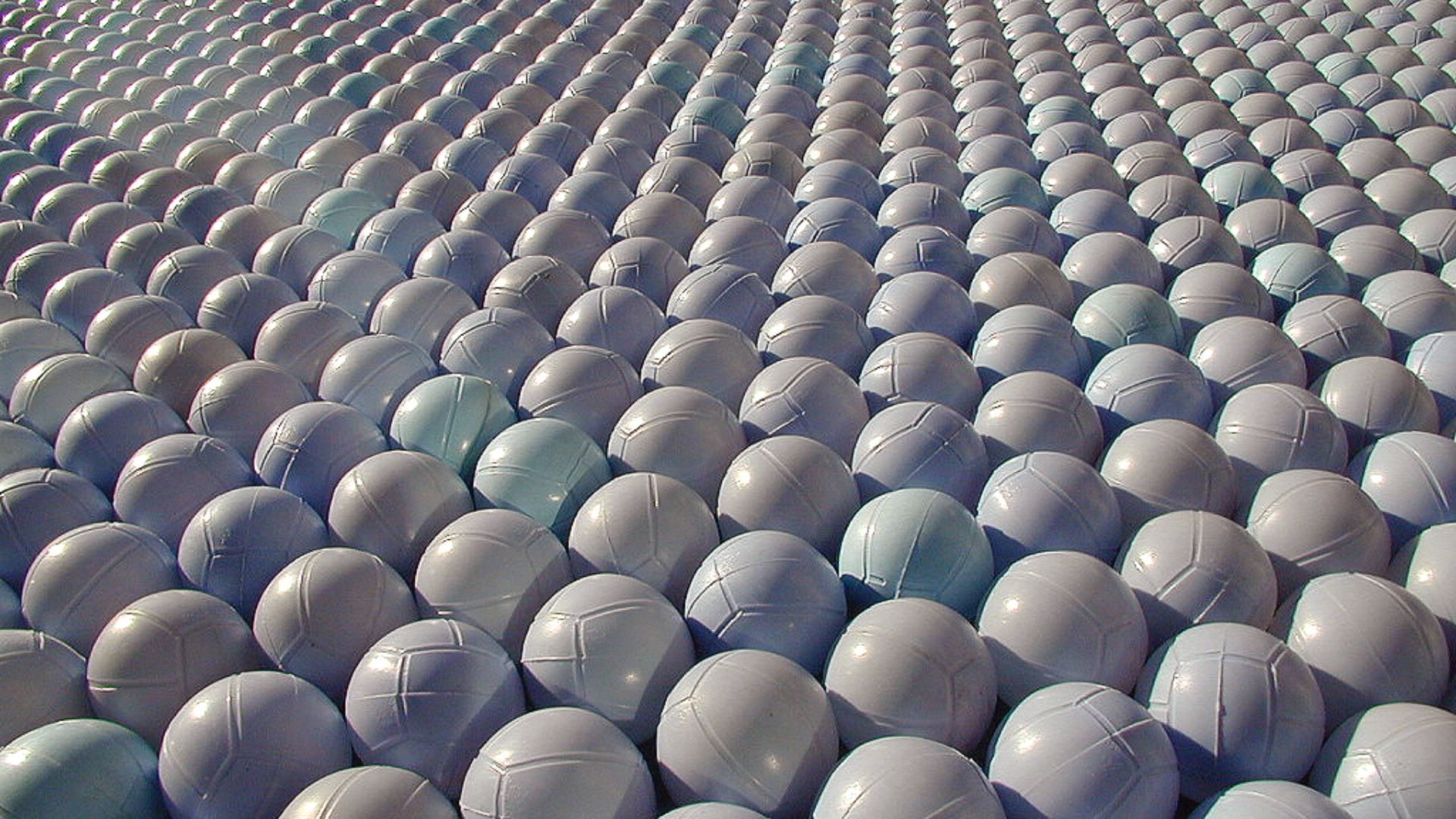 The Real Reason 96 Million Black Balls Were Released Into the L.A ...