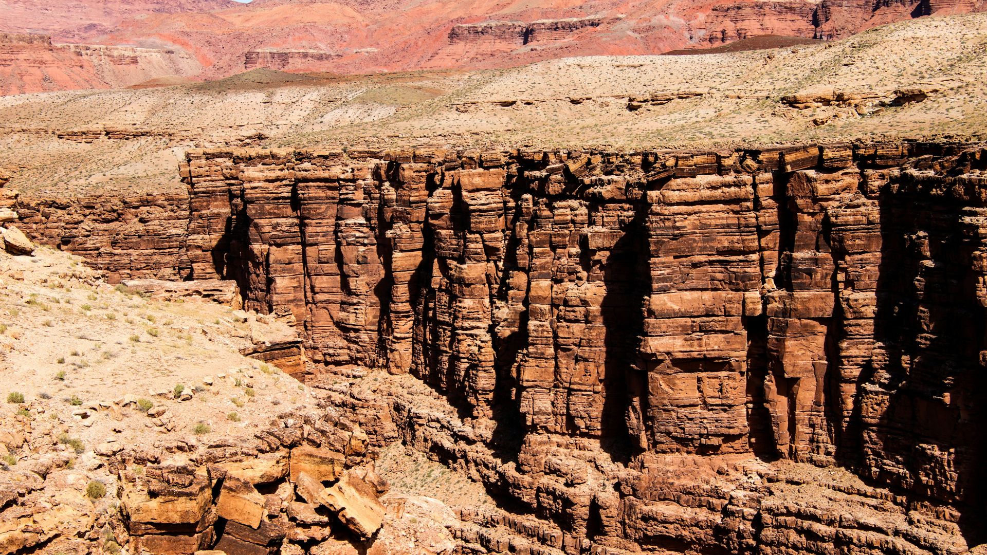 Lost Tectonic Plate Resurfaces After 20 Million Years - Blossom