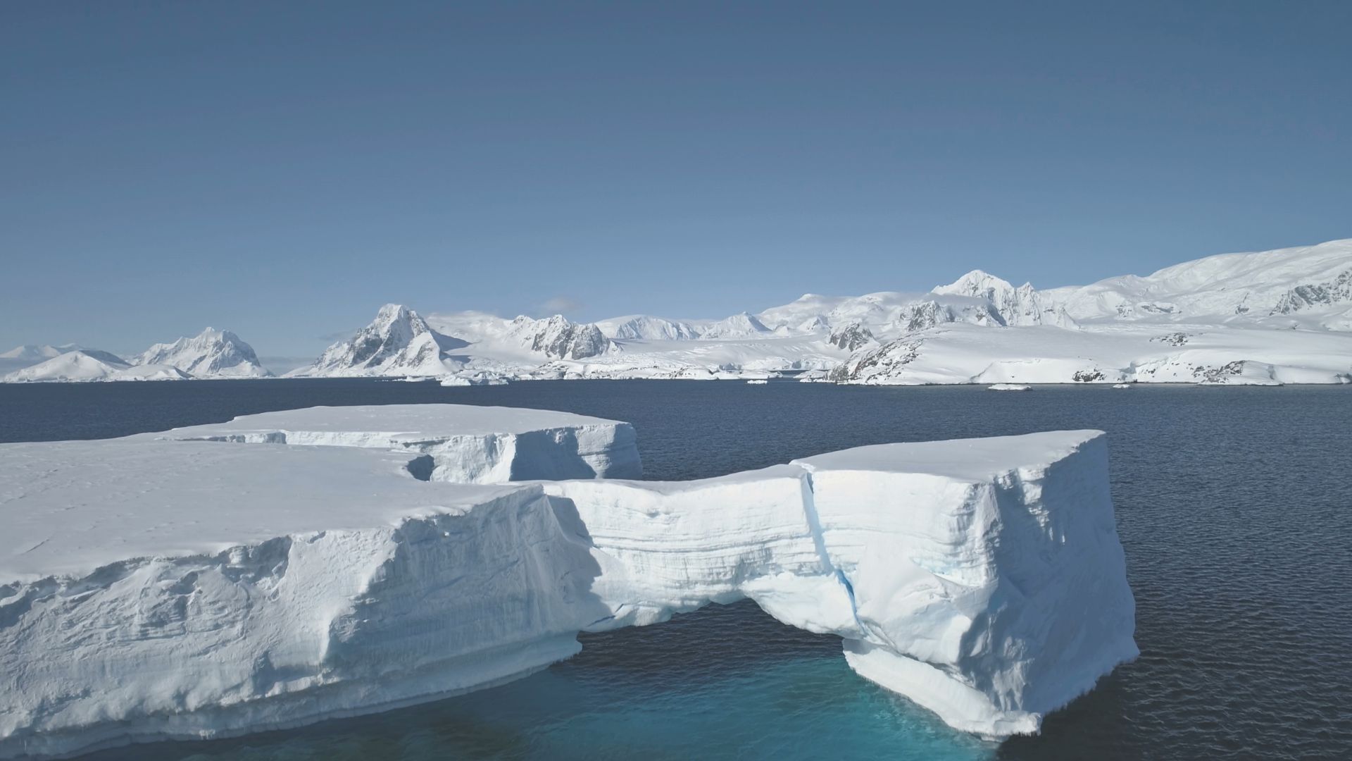 Scientists Revive 48,500-Year-Old ‘Zombie’ Virus Preserved in Arctic ...