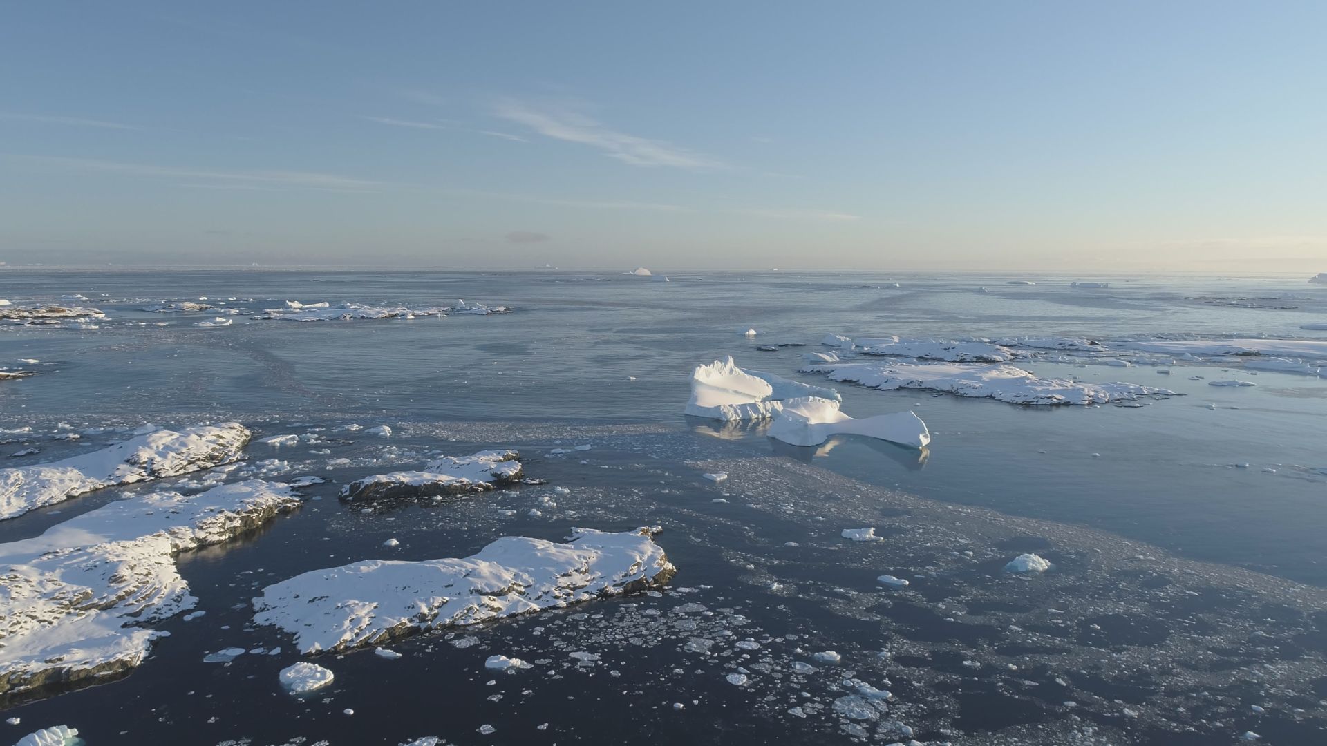 Scientists Revive 48,500-Year-Old ‘Zombie’ Virus Preserved in Arctic ...