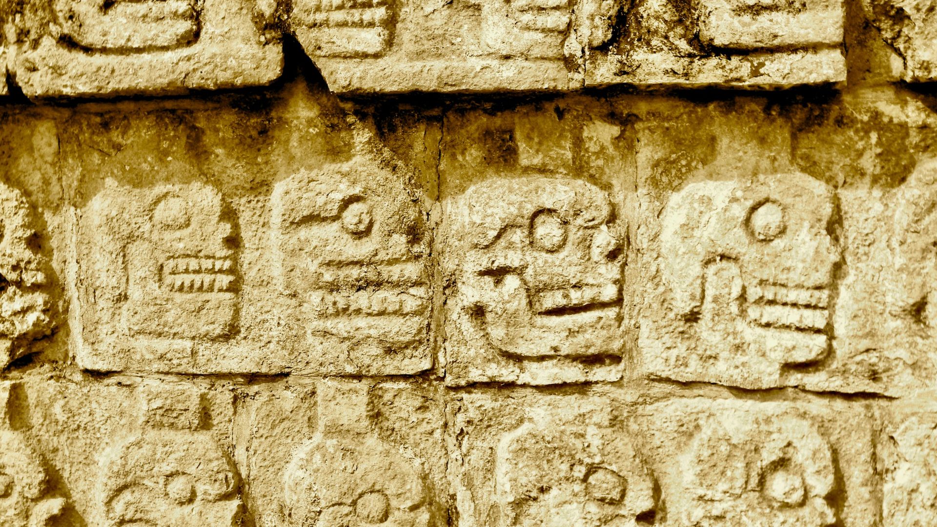 Remarkable Ancient Carvings Portray Humans Using Undiscovered ...