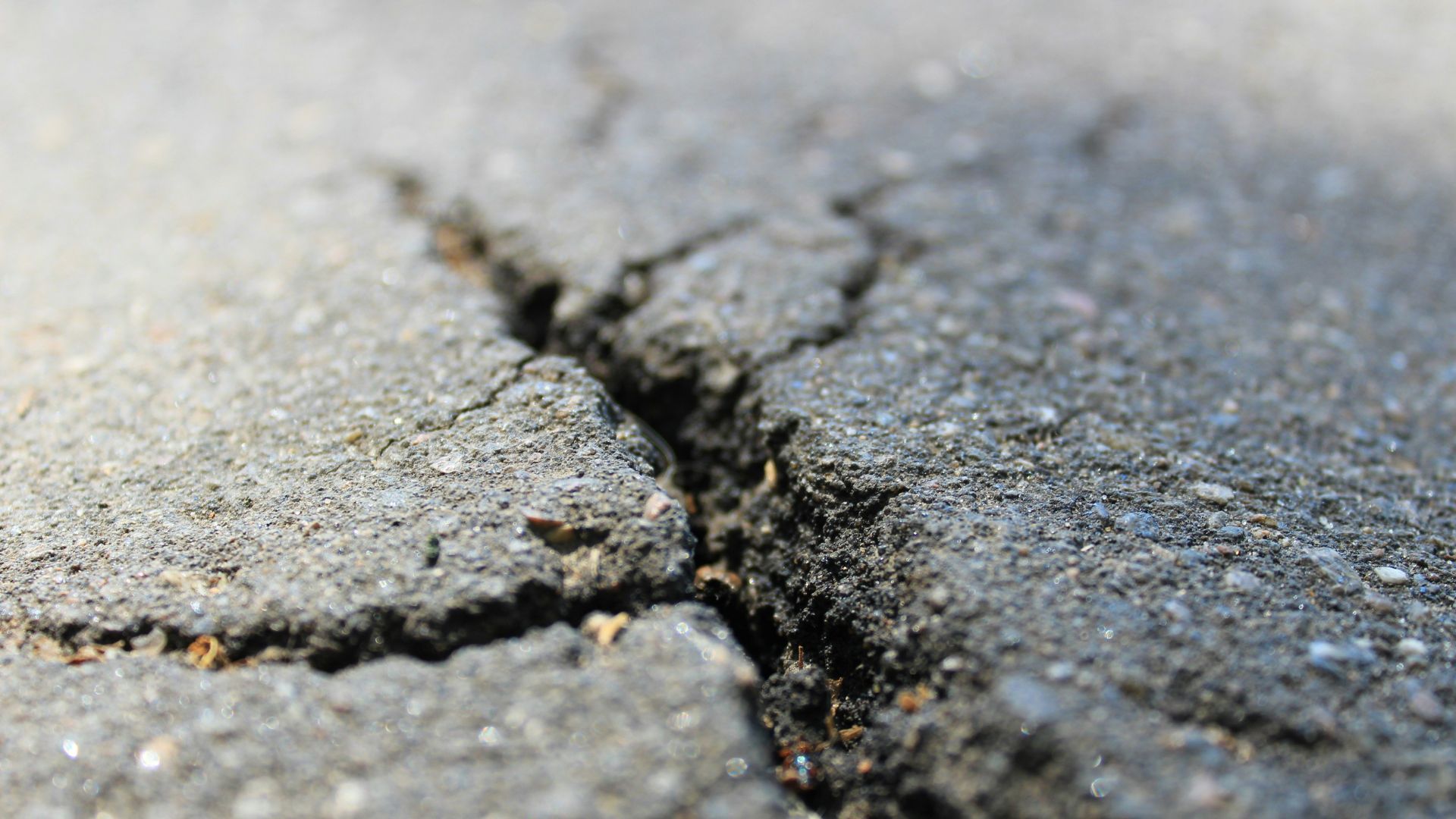 The Earth is Tearing Apart Beneath the Pacific Northwest - Blossom