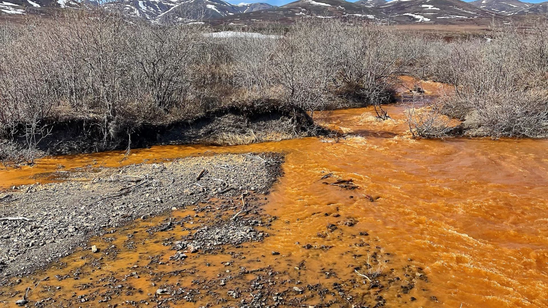 Rivers and Creeks in Alaska Turn Bright Orange - Blossom