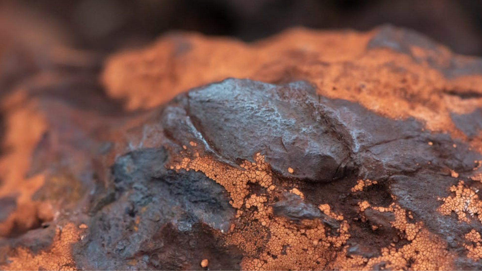 Massive Iron Ore Deposit Unearthed by Geologists, Estimated Value $5.7 ...