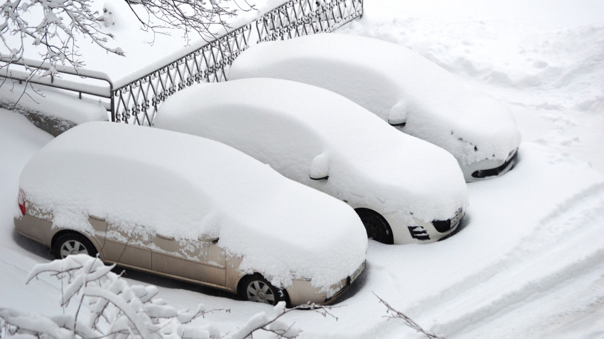 Winter Storm May Bring Snow to This Tropical Area for the First Time in ...