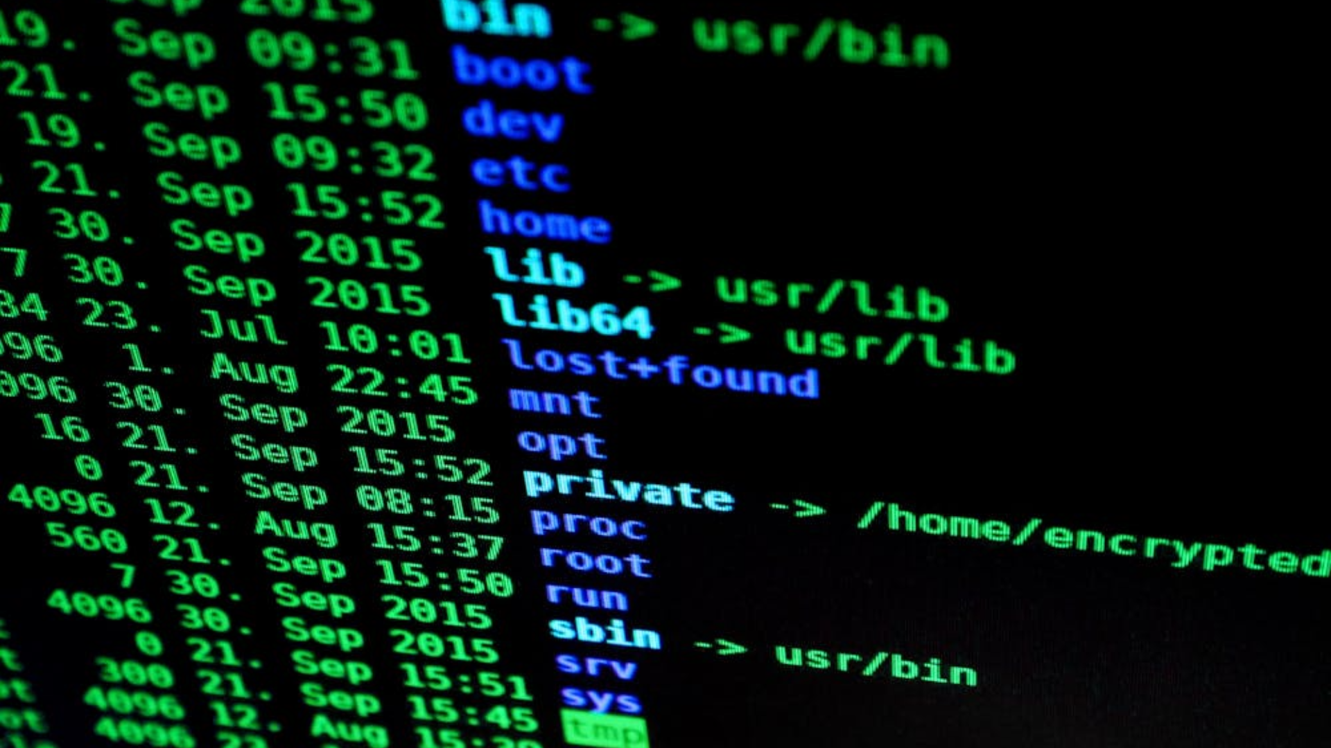 Billions of Records Exposed in One of the Largest Hacks on Record - Blossom